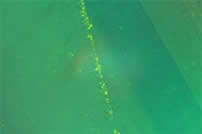 Nanotronics Imaging - Company Profile | Supplier Information